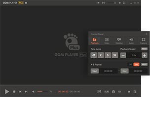 All about video, Multimedia software and services｜GOM Lab